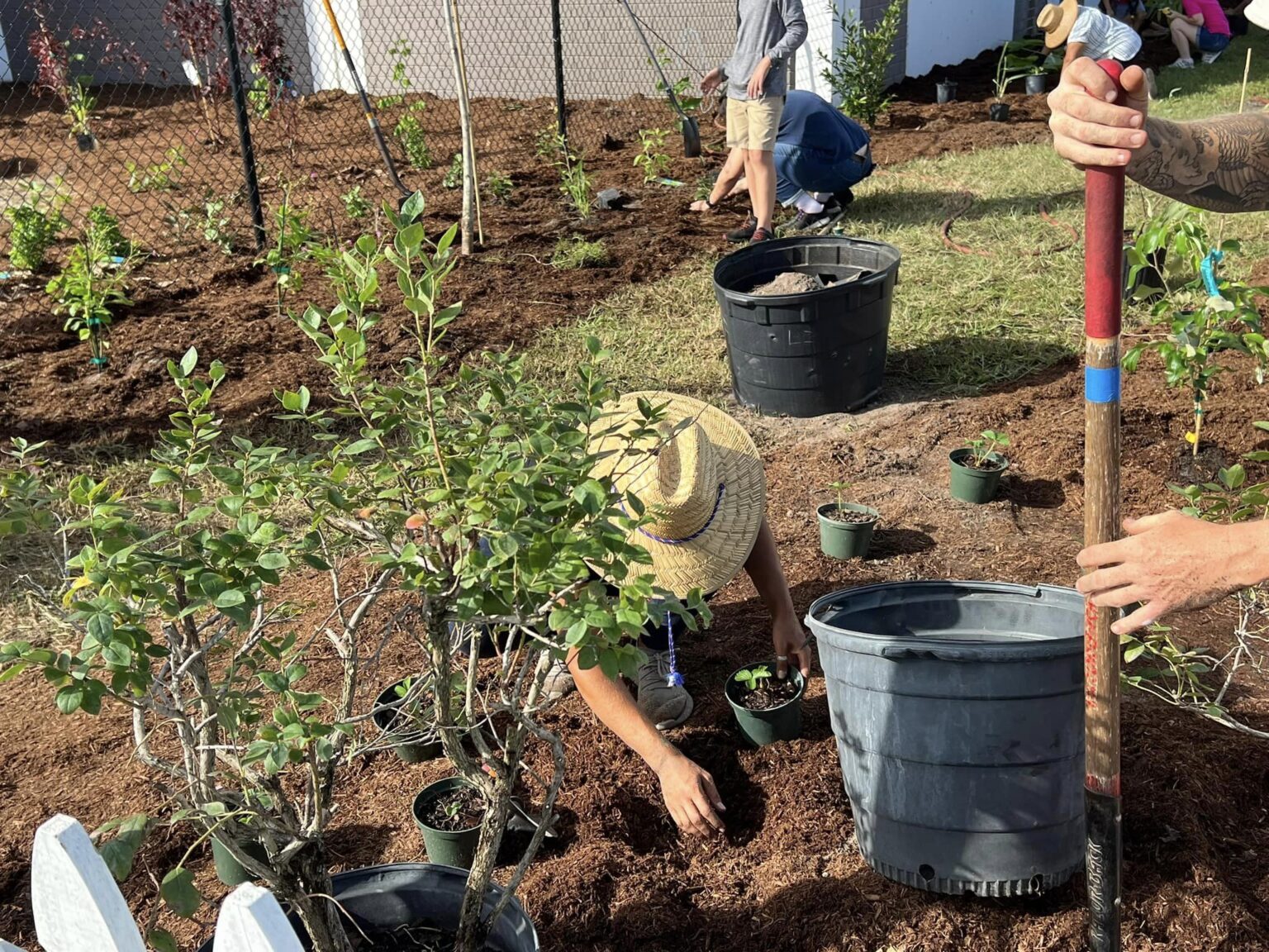 Explore CIJS – CIJS Reggio Scholars